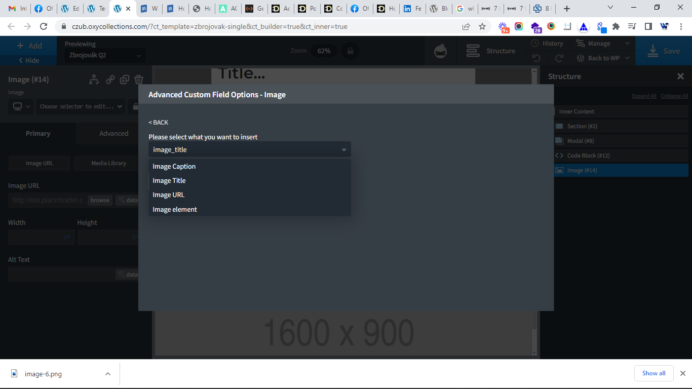 How to add dynamic ACF Image Alt Text with in Oxygen – Code DPlugins